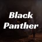 The Black Panther Program | Boostcamp App