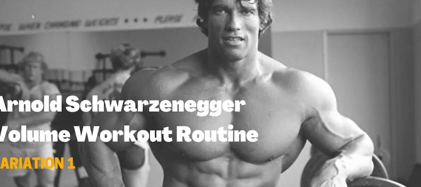 Arnold Schwarzenegger's Training Program