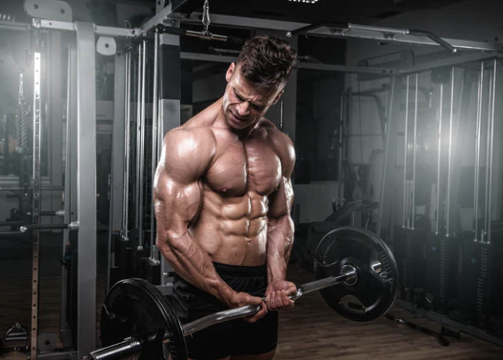 Barbell Bicep Curl Guide