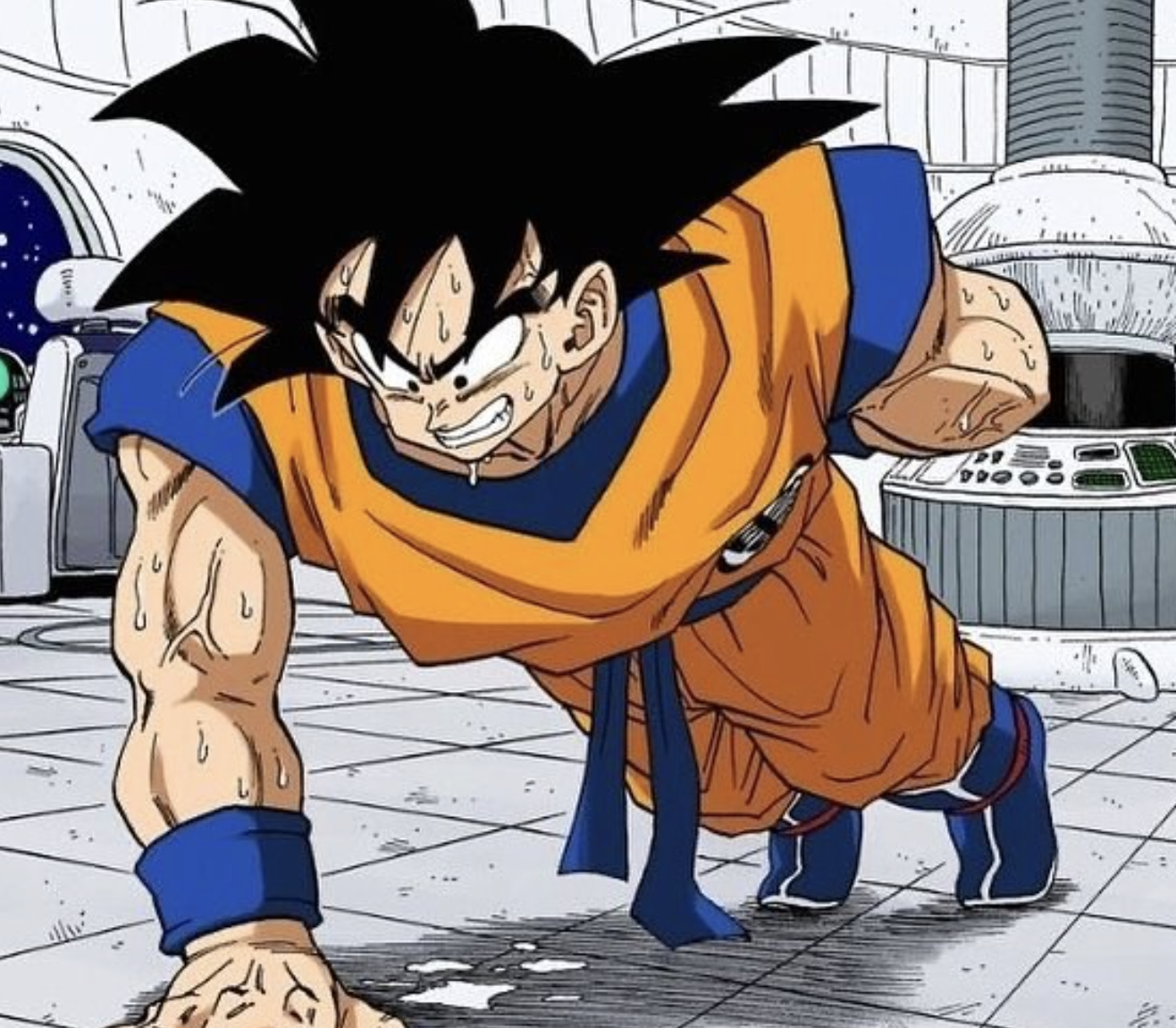 The Goku Training Program