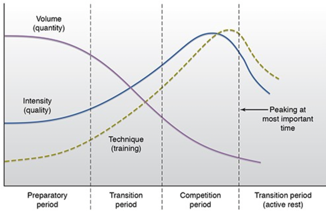 The Science of Peaking: Designing a Successful Powerlifting Program