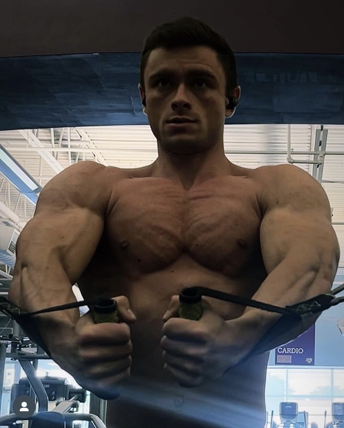 The Top 5 Bodybuilding Training Programs