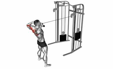 Lat Pulldown | Exercise Guides | Boostcamp