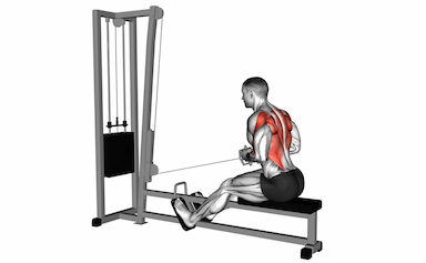 Lat Pulldown | Exercise Guides | Boostcamp