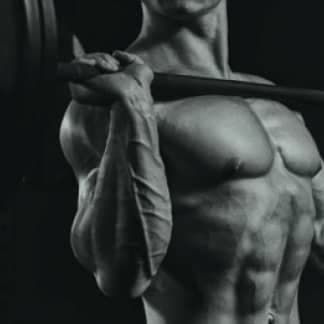 Push Pull Legs Upper Lower (PPLUL) | Boostcamp App