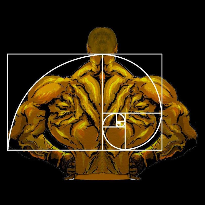 Beast Slayer - Berserk Method Full Body Program | Boostcamp App